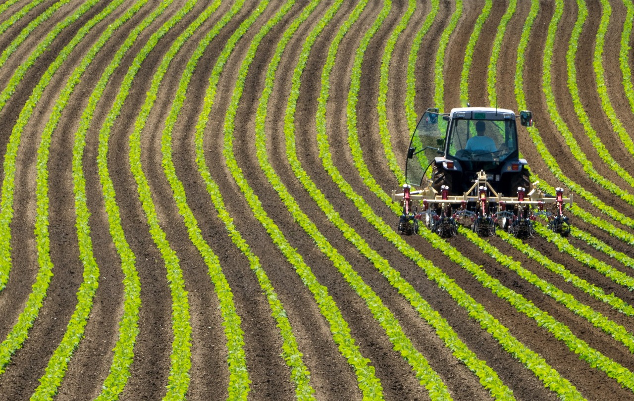 BATジャパン - サステナビリティと企業責任